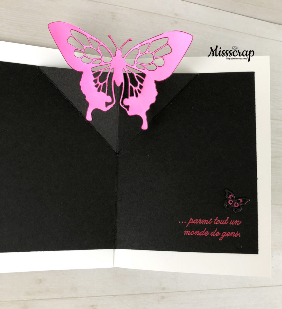 Fancy Folds Blog Hop: V Fold pop-up card (video tutorial)/ Blog hop des ...