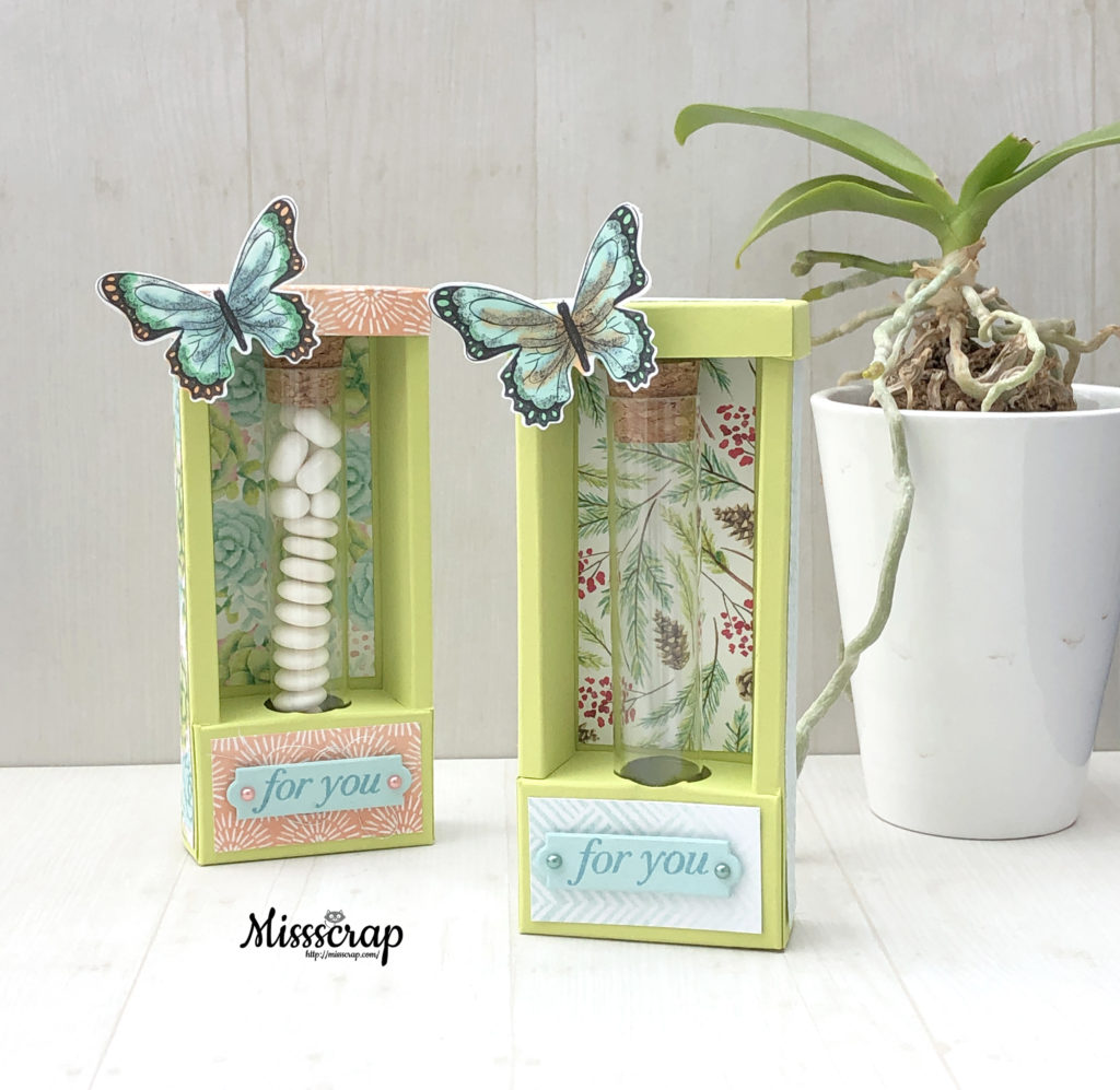 Blog hop Thinking outside the box #15 – Test Tube gift box (video ...