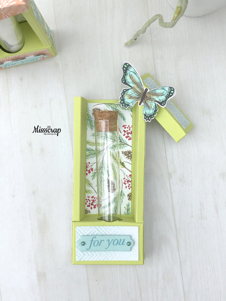 Blog hop Thinking outside the box #15 – Test Tube gift box (video ...