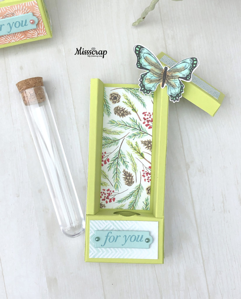 Blog hop Thinking outside the box #15 – Test Tube gift box (video ...