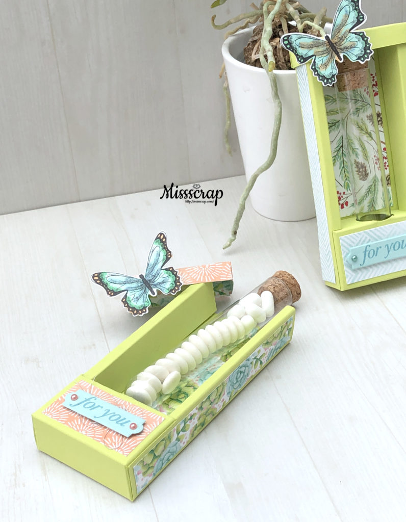 Blog hop Thinking outside the box #15 – Test Tube gift box (video ...