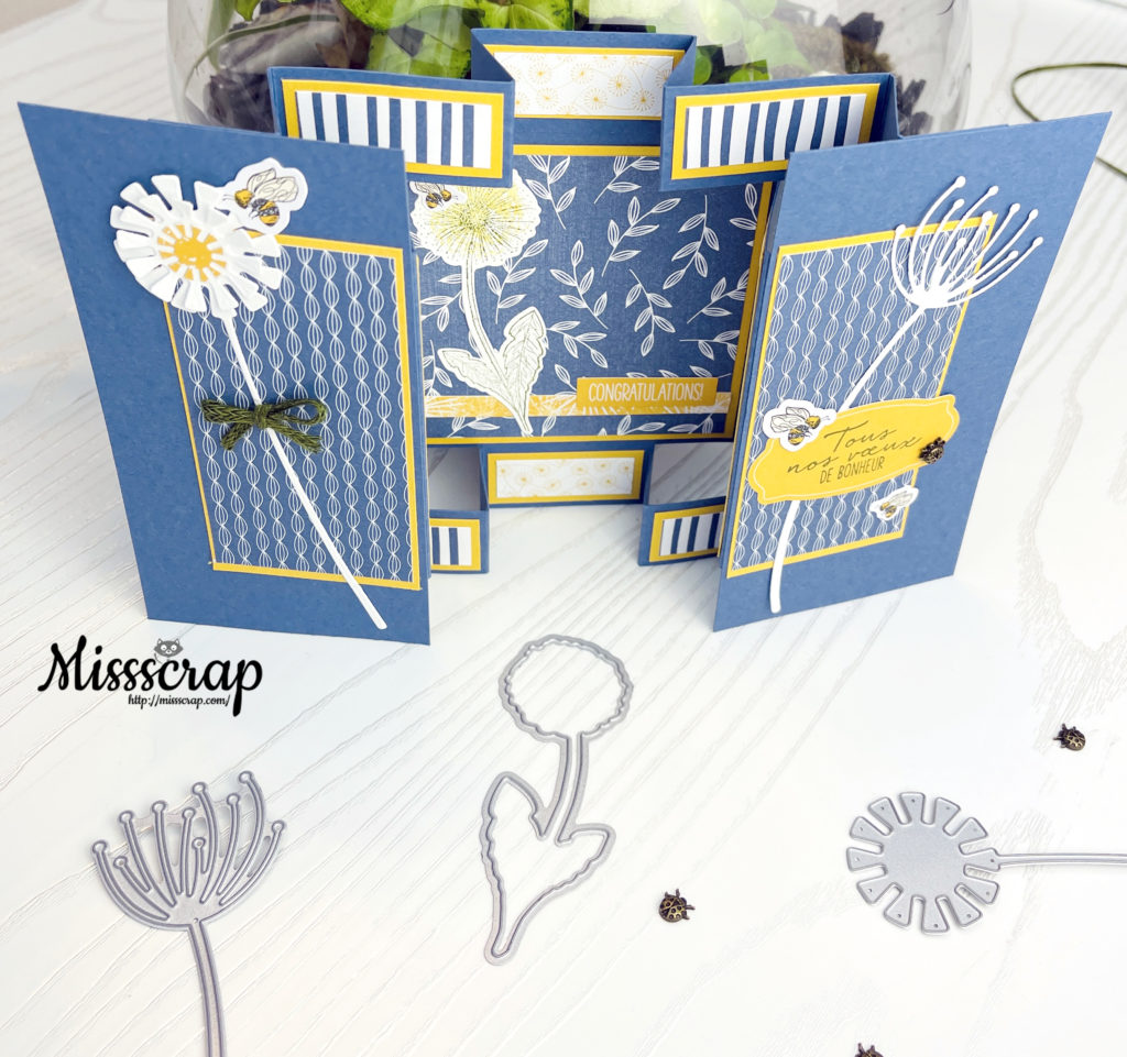 Live FB #65: Carte double panneaux /double display card- tuto - Missscrap